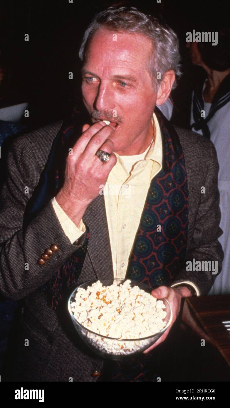 1984 Paul Newman John Barrett/PHOTOlink.net Stock Photo - Alamy