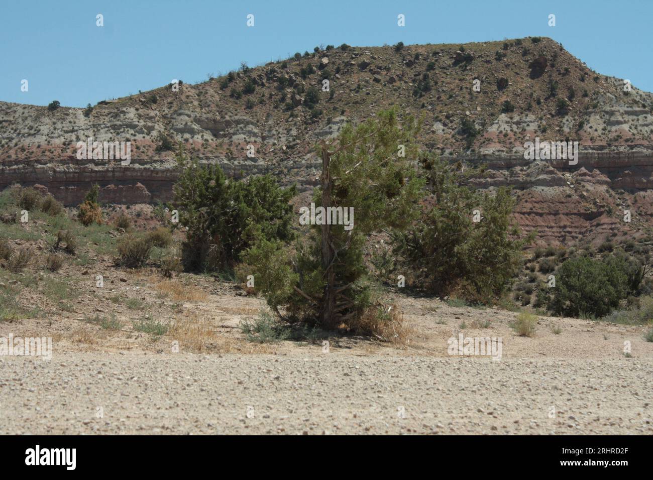 very pretty red cliffs Stock Photo - Alamy