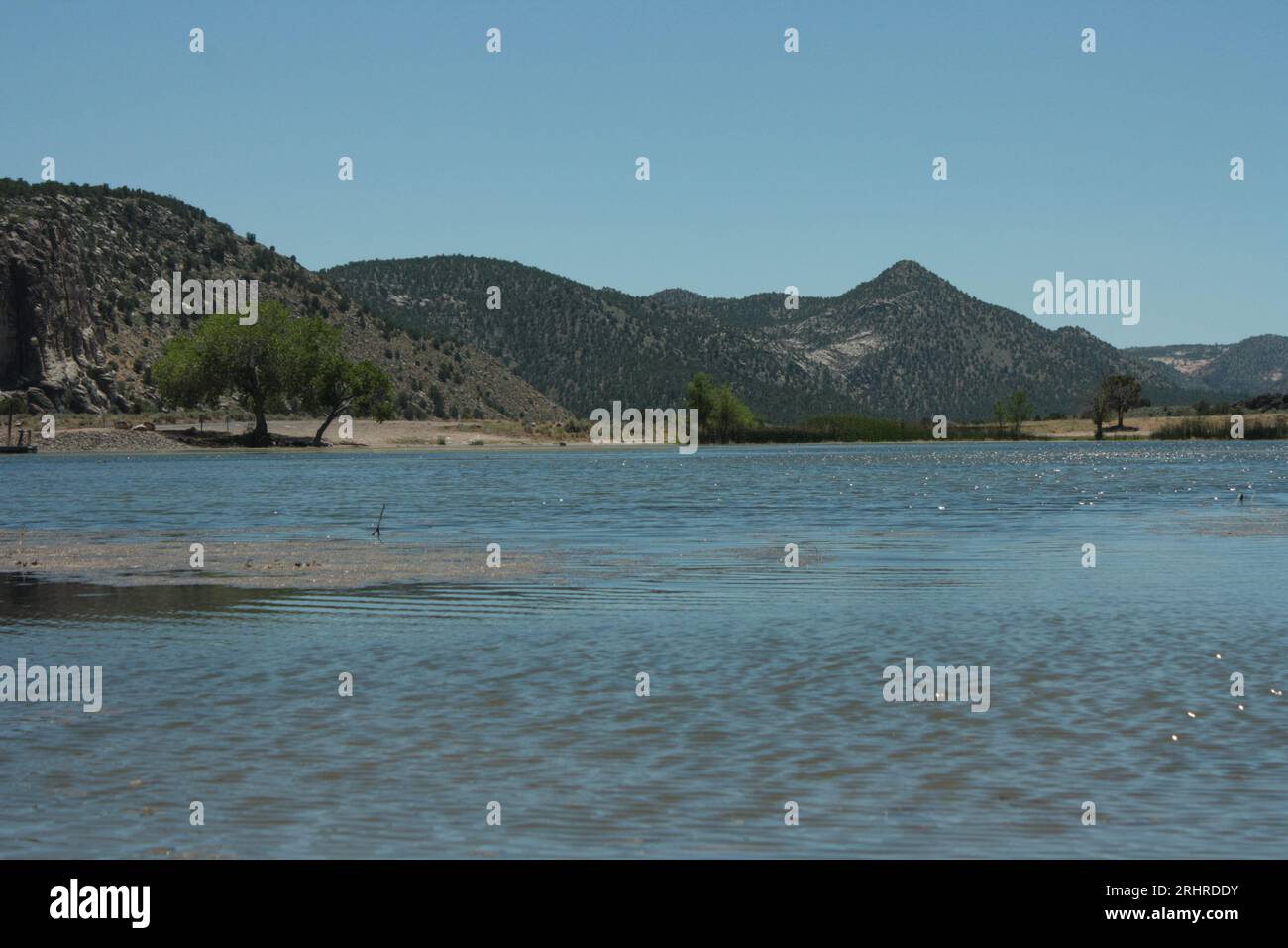 The immense shore hi-res stock photography and images - Alamy