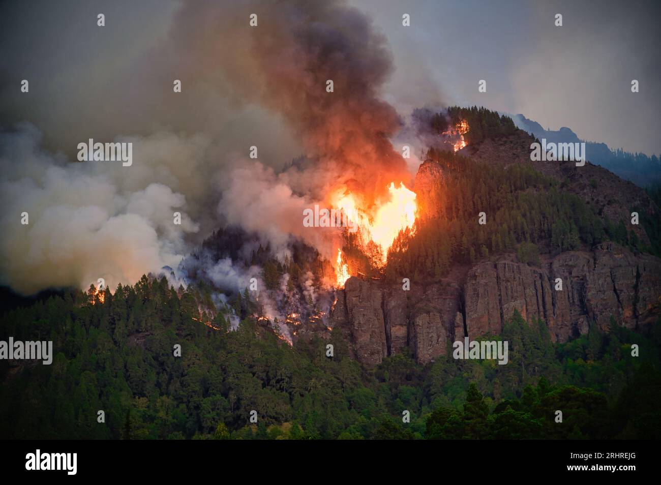 Fire engulfs forest hi-res stock photography and images - Alamy