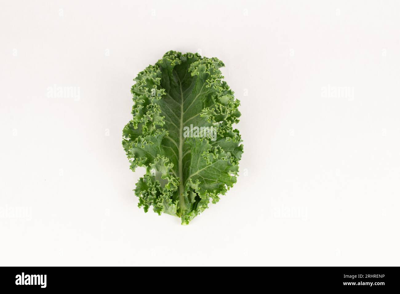 Kale leaf salad vegetable hi-res stock photography and images - Alamy