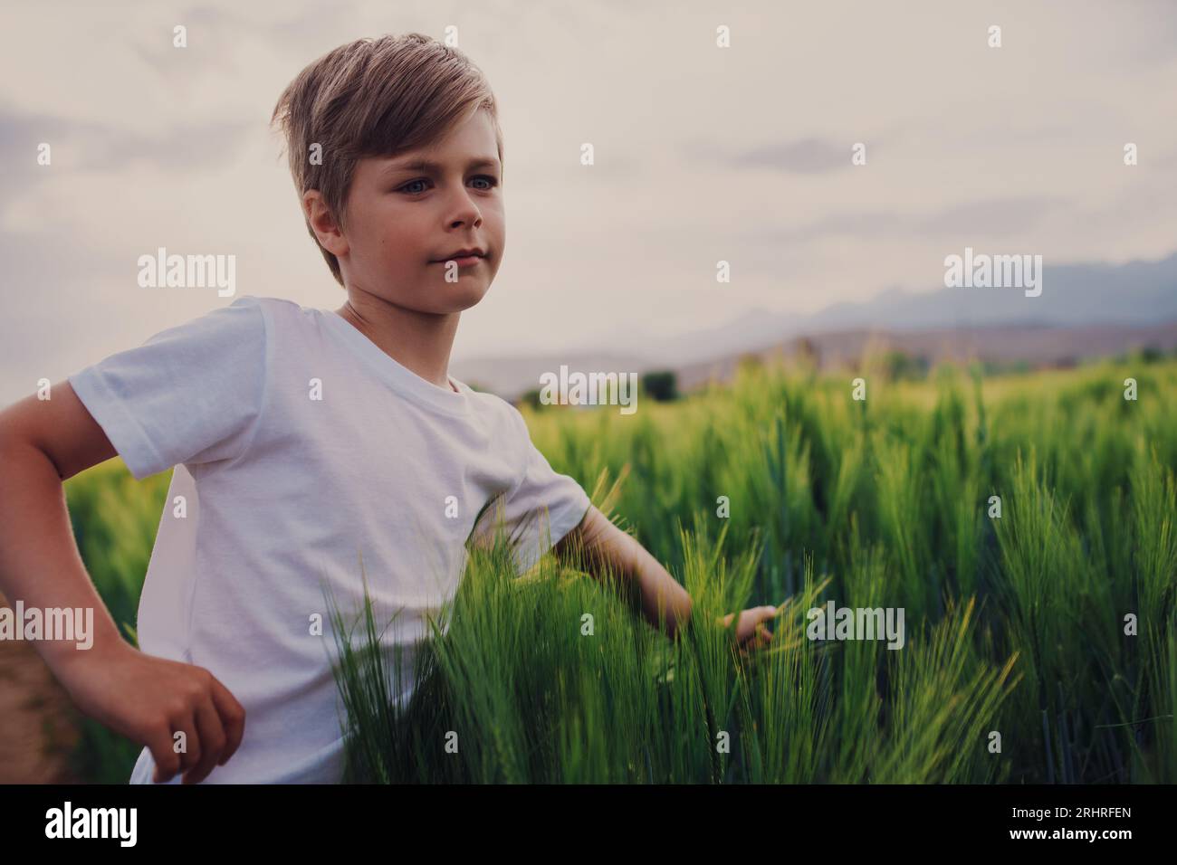 Portrait of cute boy with spike of a grain plant in a field Stock Photo ...
