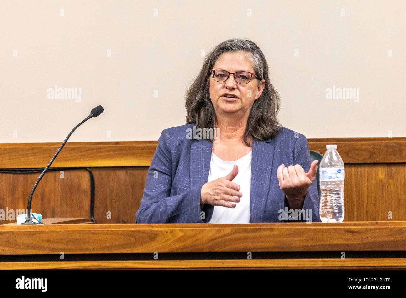 Leah Larkin testifies during a hearing for Bryan Kohberger, Friday, Aug ...