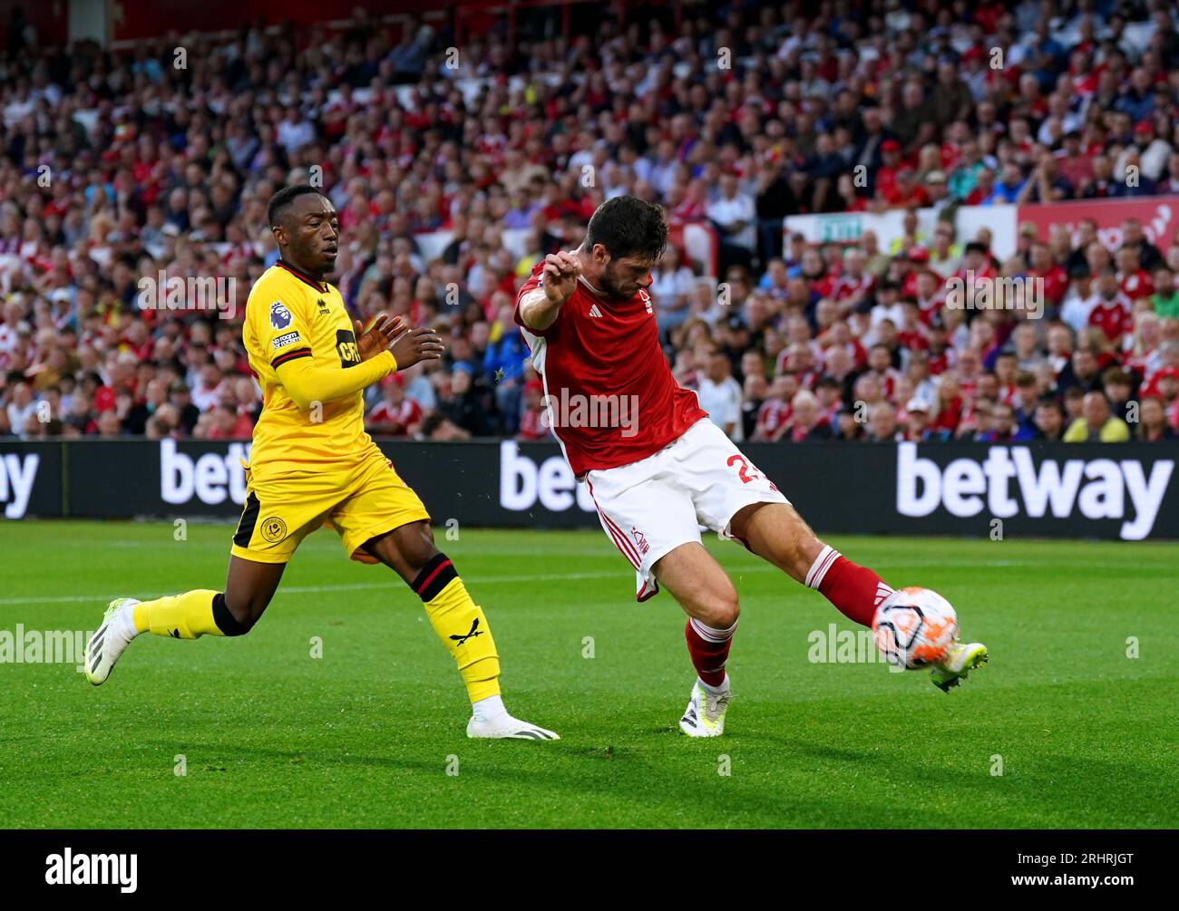 Scott mckenna forest 2023 hi-res stock photography and images - Alamy