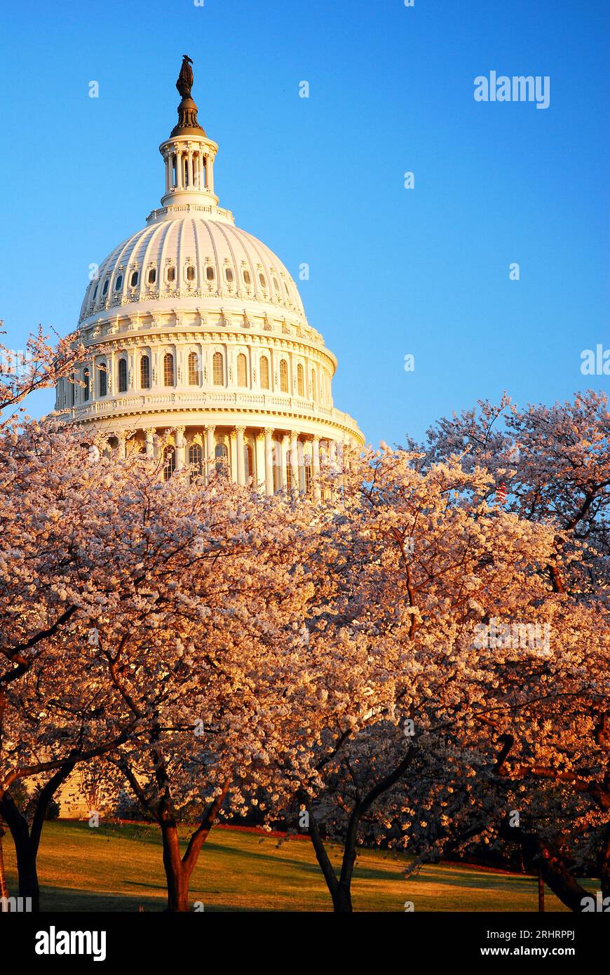 The dome of the United States Capitol, a symbol of American democracy ...