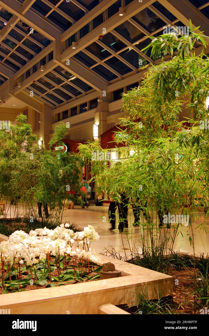 Copley place mall hi-res stock photography and images - Alamy