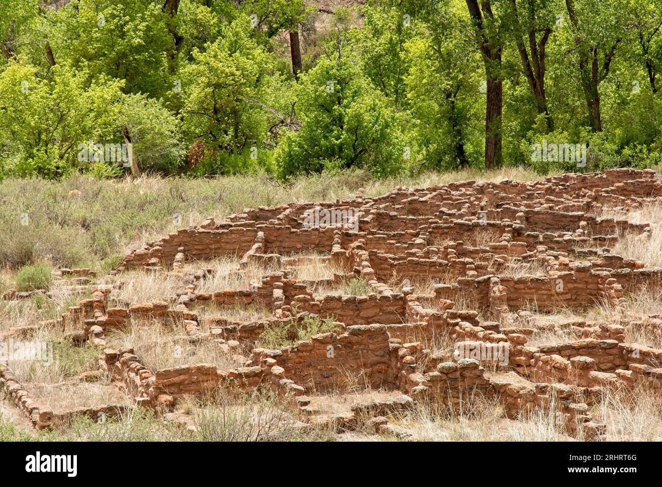 Foundation stones of Ancestral Puebloan community on floor of Frijoles ...