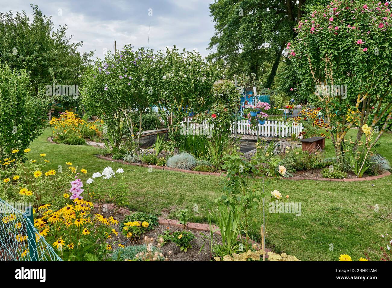 allotment in summer, Germany, Hesse, Kleingartenanlage Stock Photo - Alamy