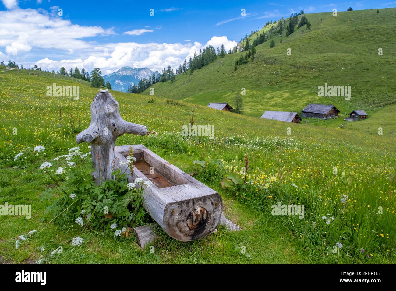 wooden drinking trough on the Postalm, Austria, Salzkammergut, Strobl ...