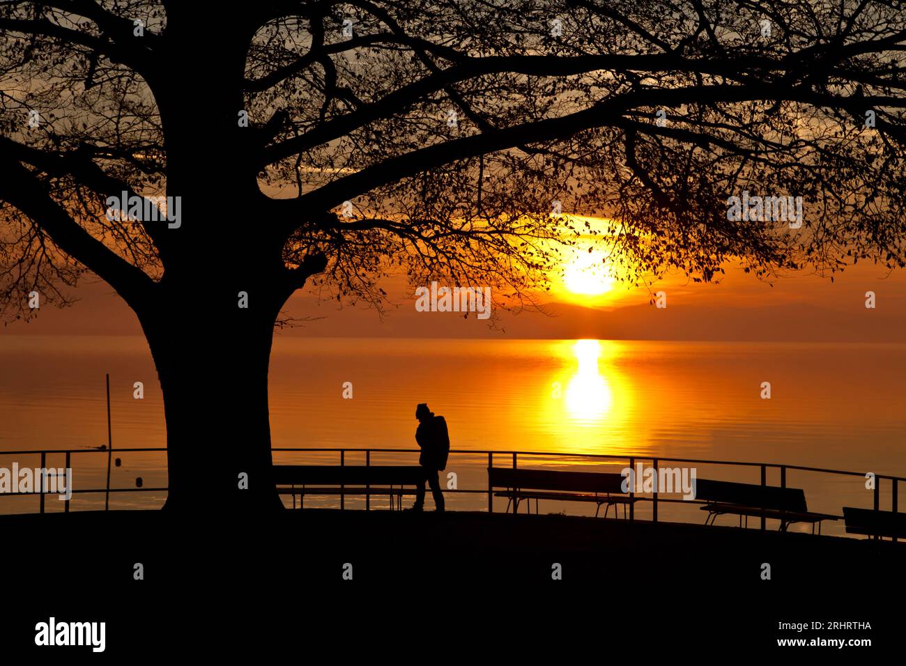 Evening mood lake hi-res stock photography and images - Alamy