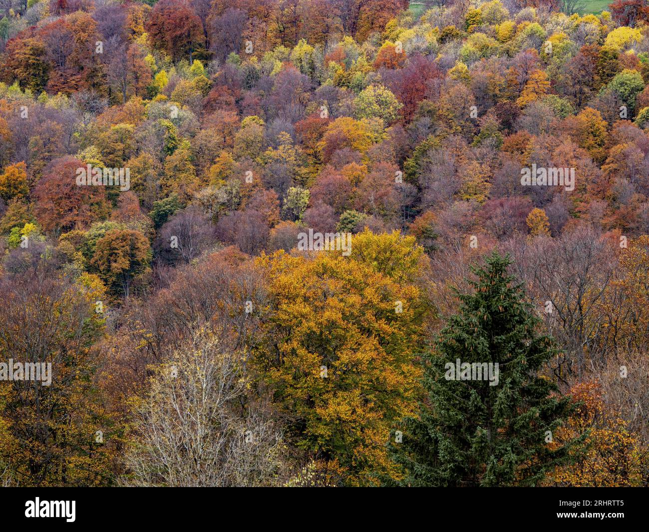 Gersfeld hi-res stock photography and images - Alamy