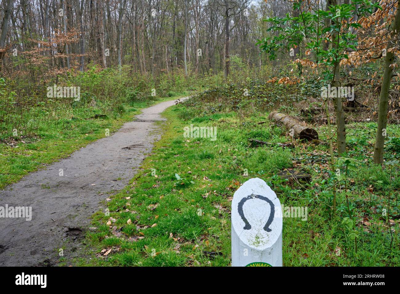 wooden post with horseshoe marks a bridle path in the forest, Germany ...