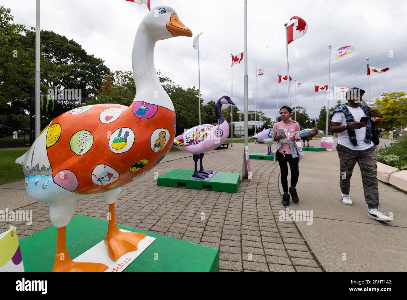 Toronto, Canada. 18th Aug, 2023. People walk past a group of goose ...