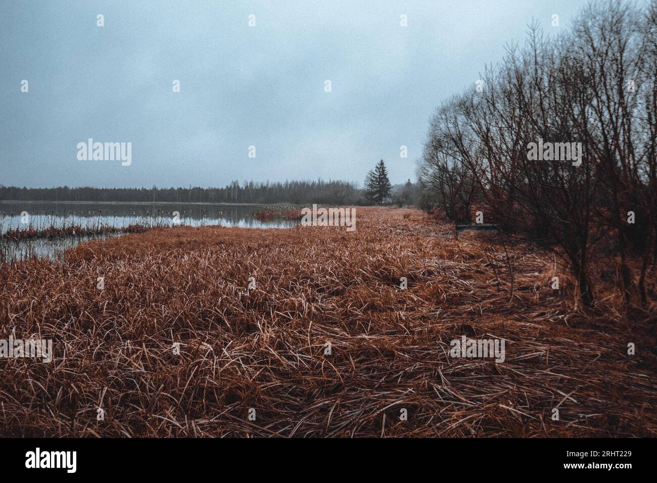 Autumn lake with fog and yellow grass. Movie atmosphere Stock Photo - Alamy