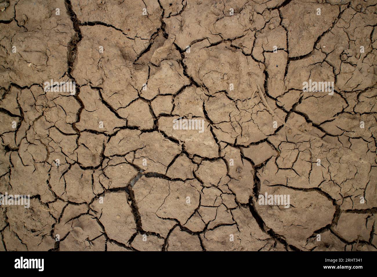 Large cracks in the ground. Abstract lines. Beautiful background ...