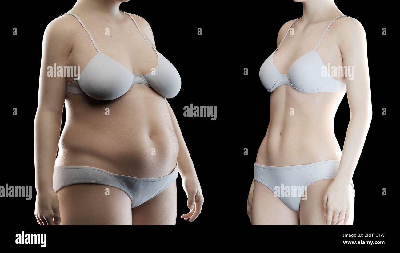 Female body transformation, illustration Stock Photo - Alamy