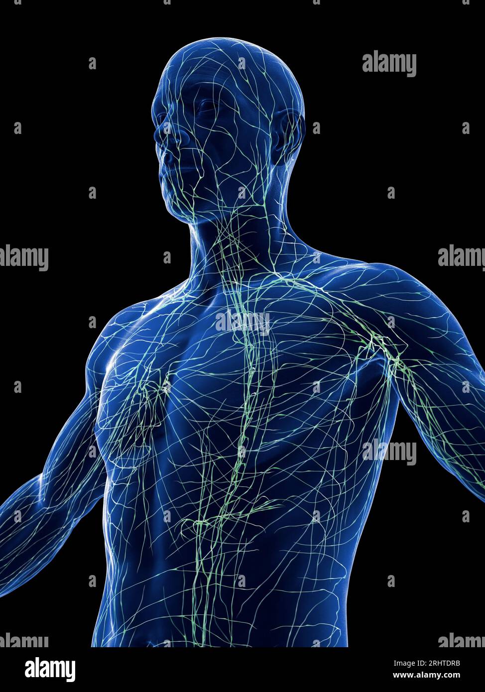 Chyle hi-res stock photography and images - Alamy