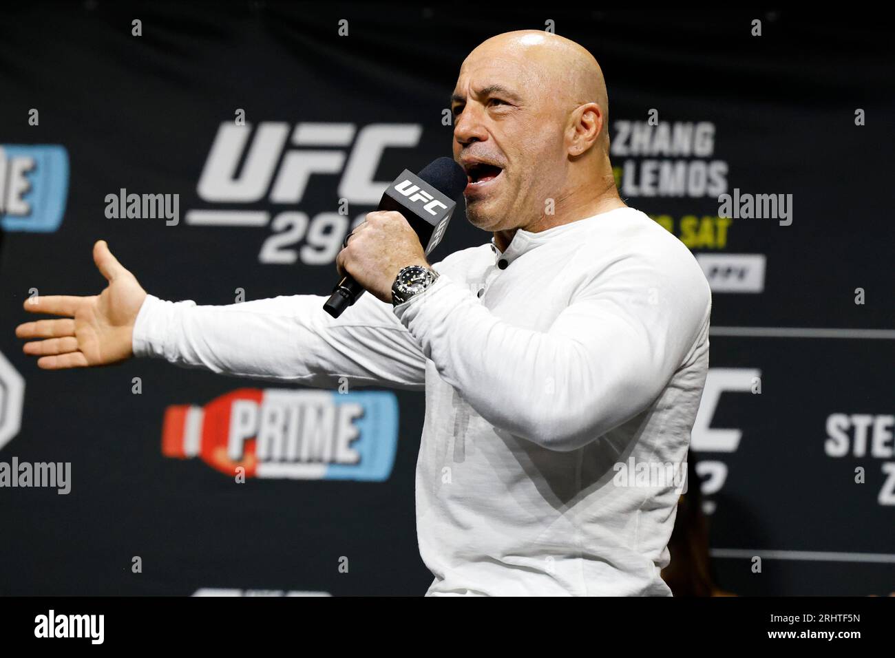 Joe Rogan Ufc Fight