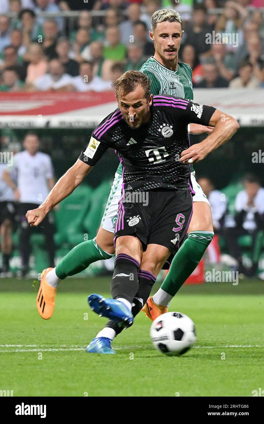 Harry kane scores bundesliga hi-res stock photography and images - Alamy