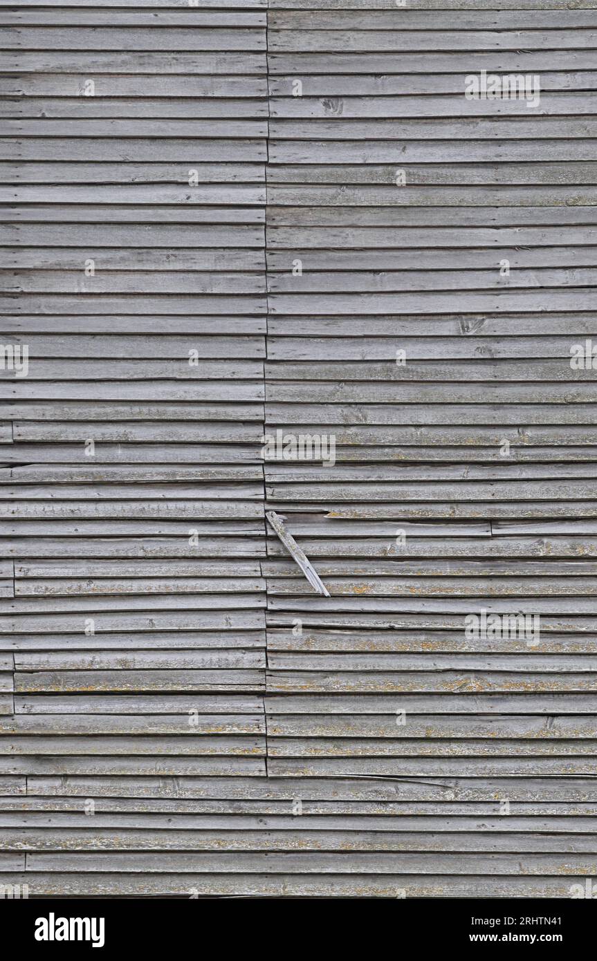 Old weathered natural grey damaged wooden farm shack wall texture, large textured rustic grungy ...