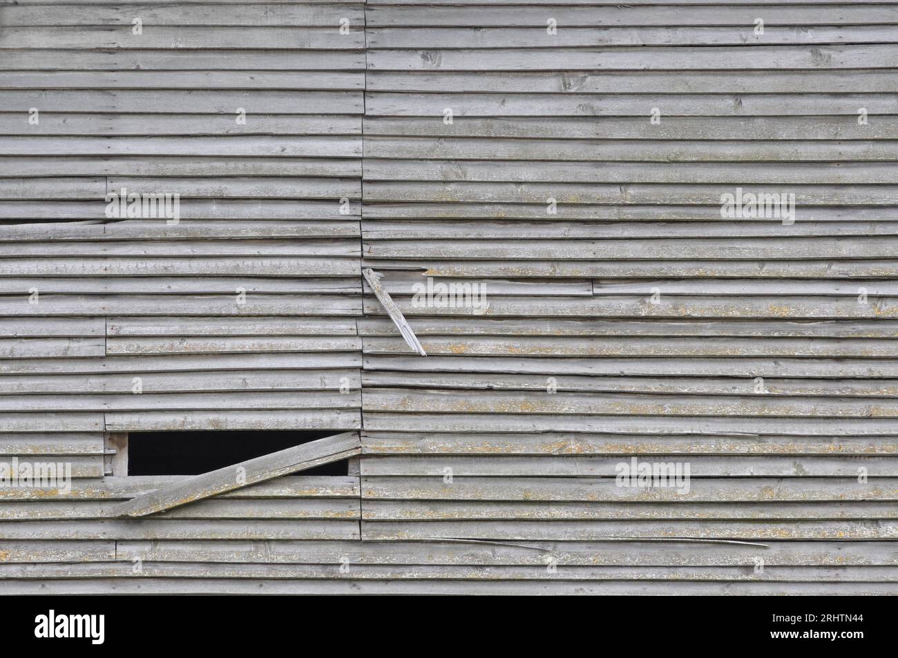 Old aged weathered natural grey damaged wooden farm shack wall texture ...