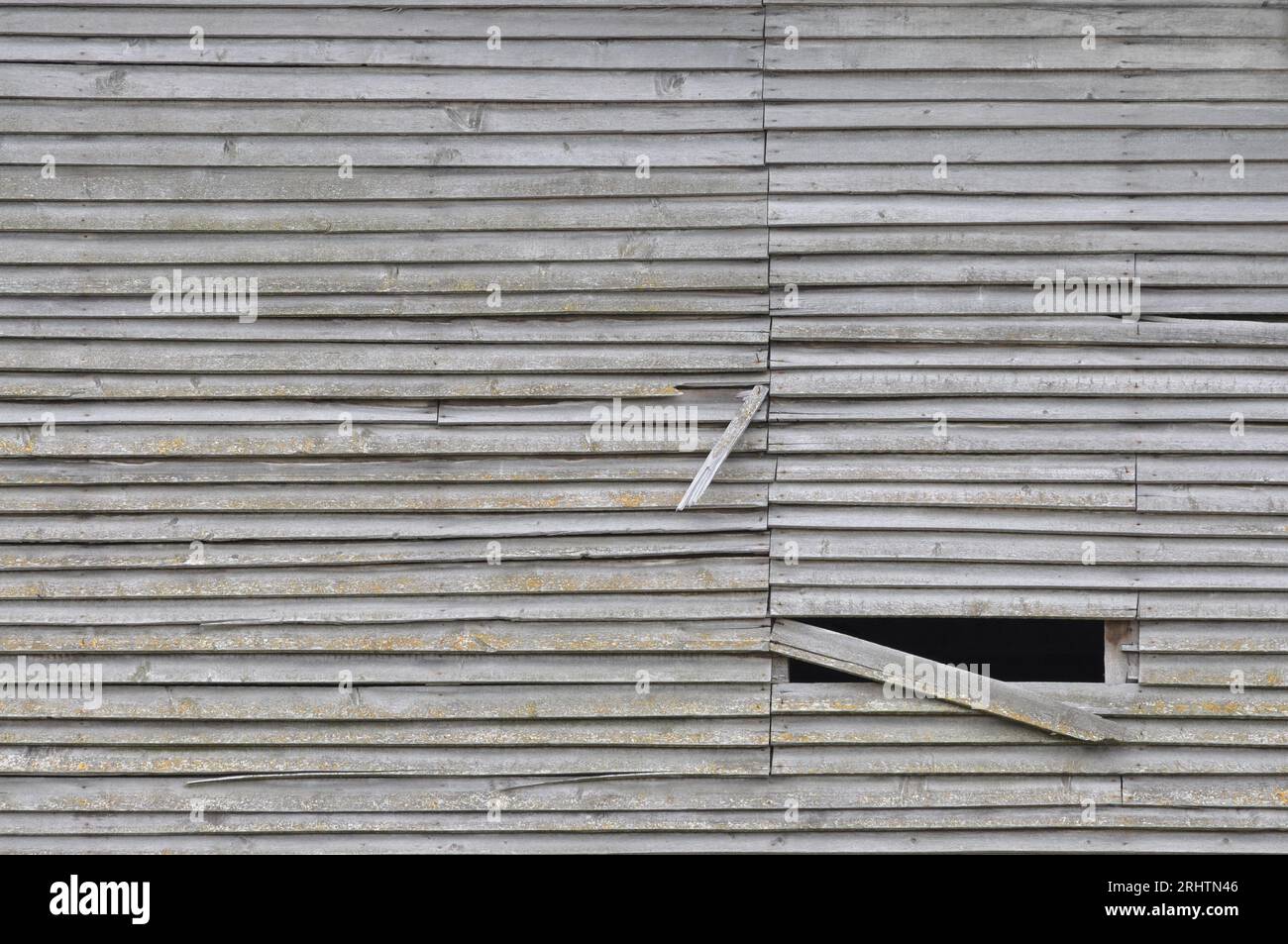 Old aged weathered natural grey damaged wooden farm shack wall texture ...