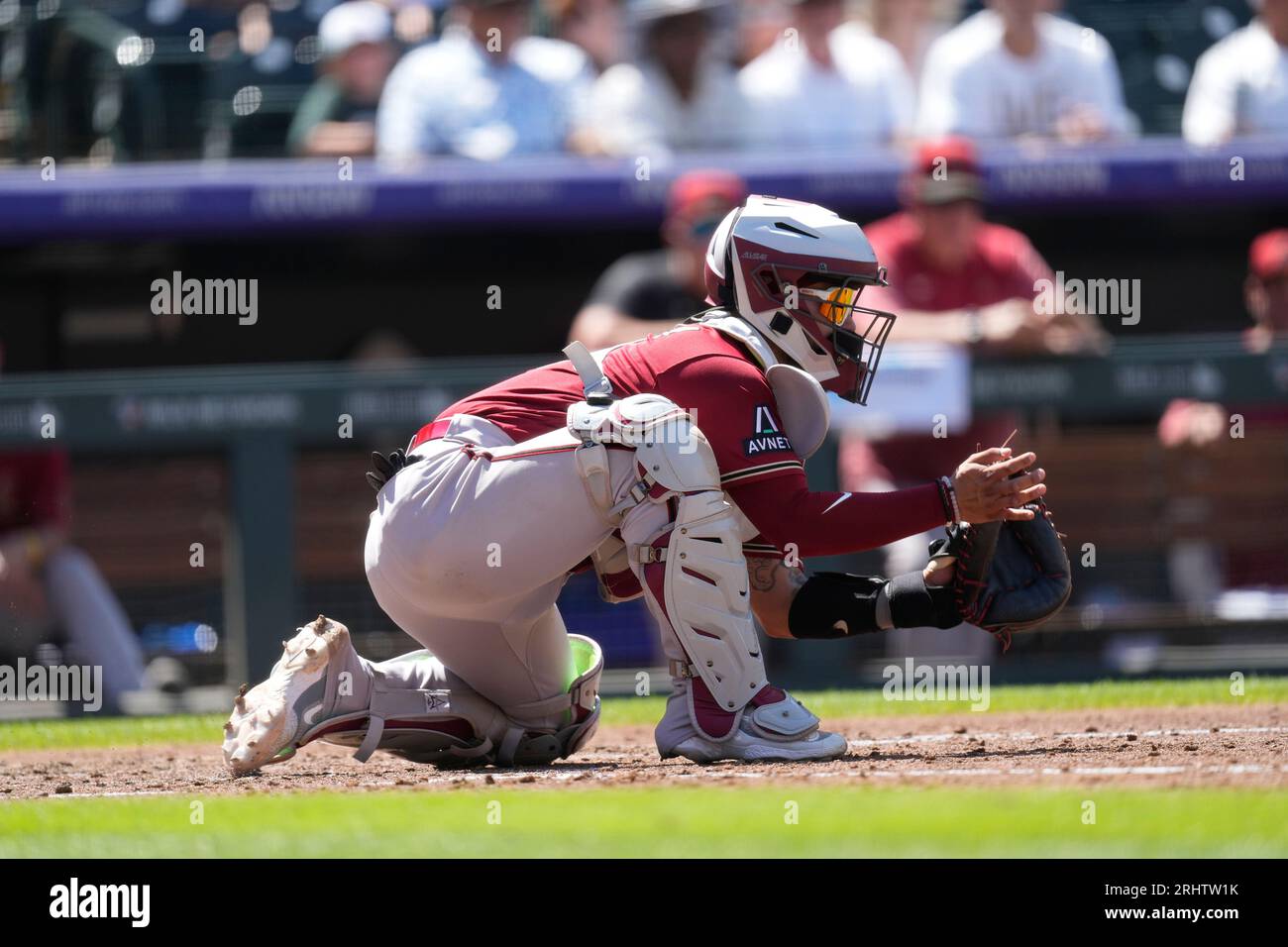 Arizona Diamondbacks catcher Jose Herrera (11) in the fifth inning of a ...
