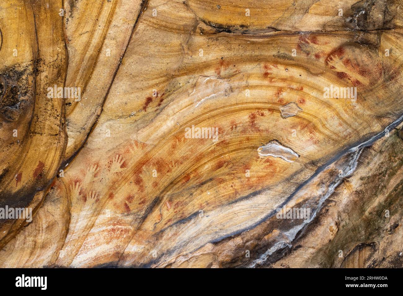 Australian Aboriginal hand stencils in a sandstone cave, Sydney region ...
