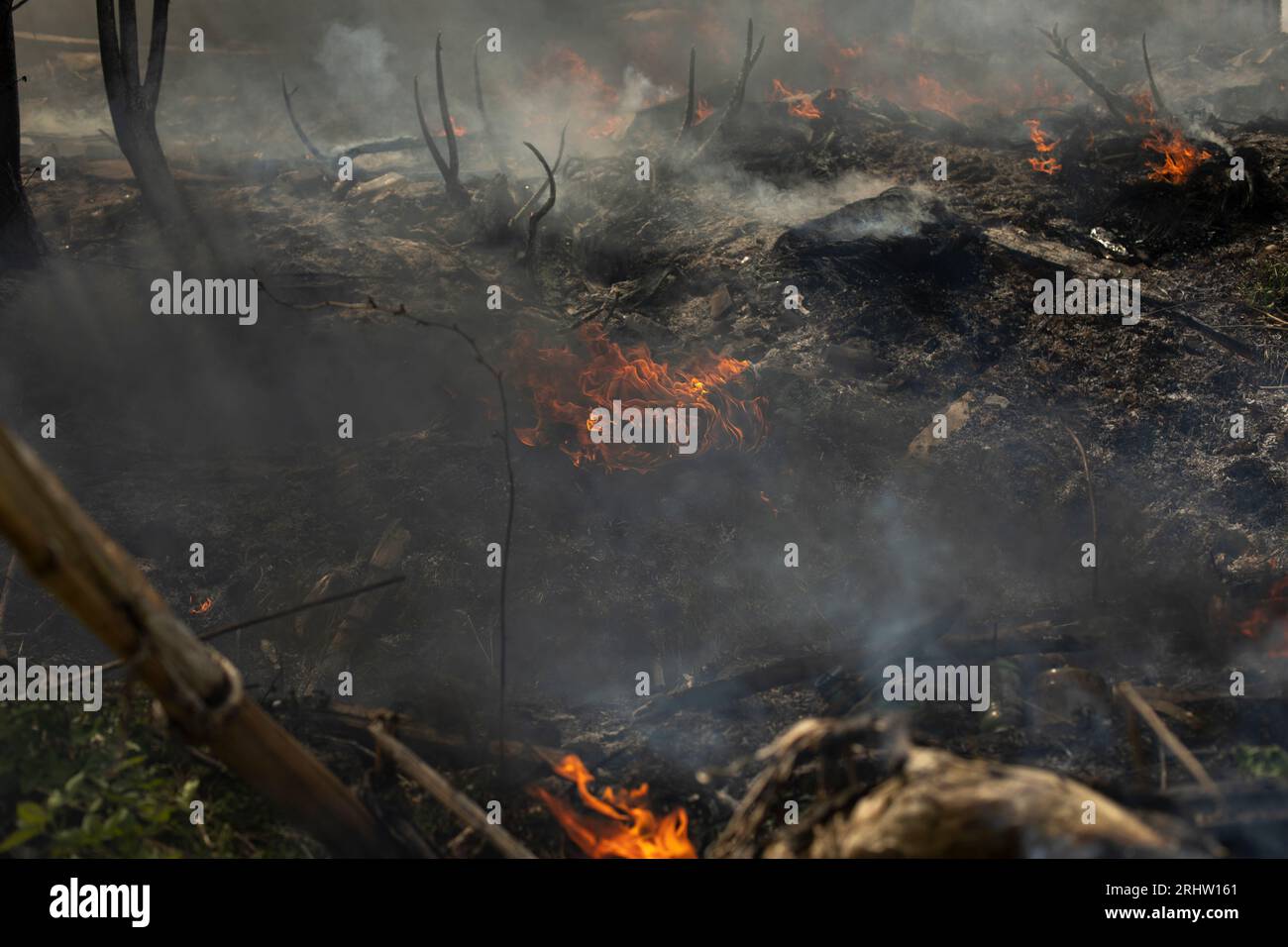 Burning of illegal landfill. Smoke and fire. Fire in street. It's ...