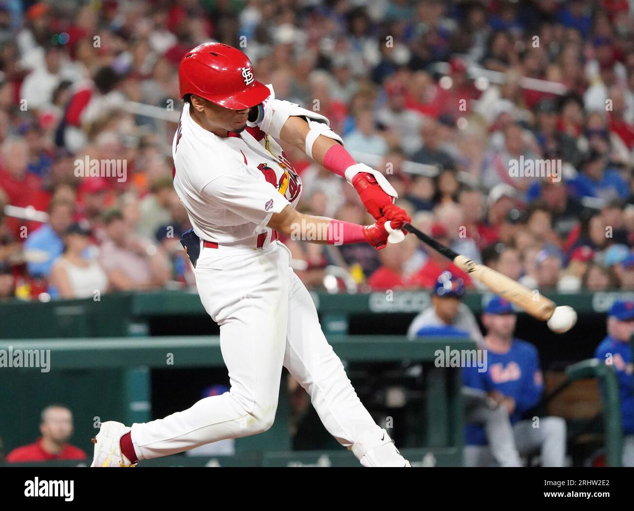 St. Louis, United States. 18th Aug, 2023. St. Louis Cardinals Masyn ...