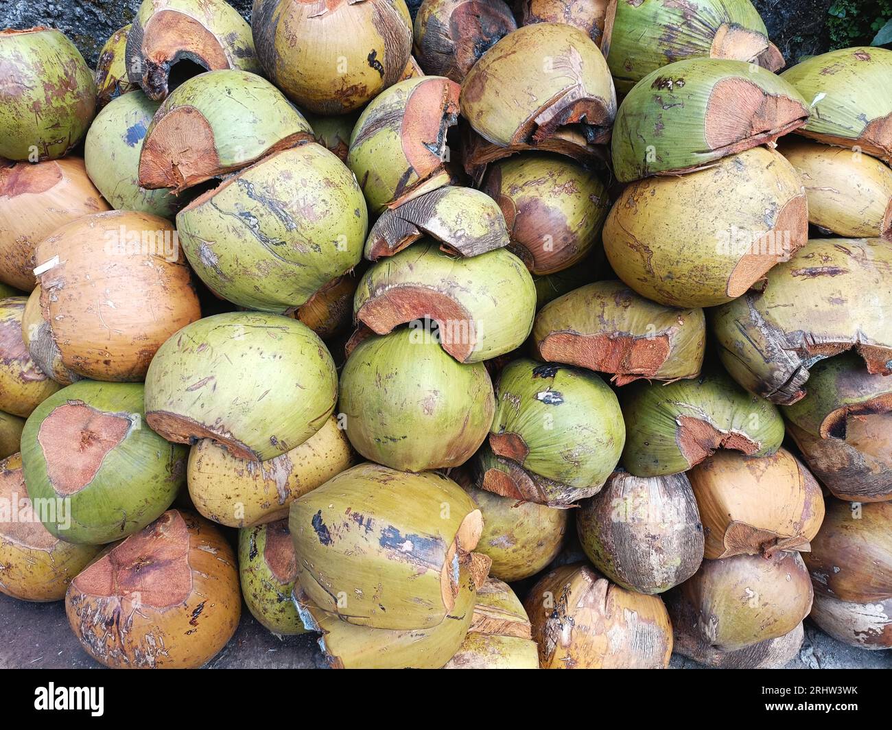 Discarded broken empty coconut husks stacked to dry in Bali, Indonesia ...