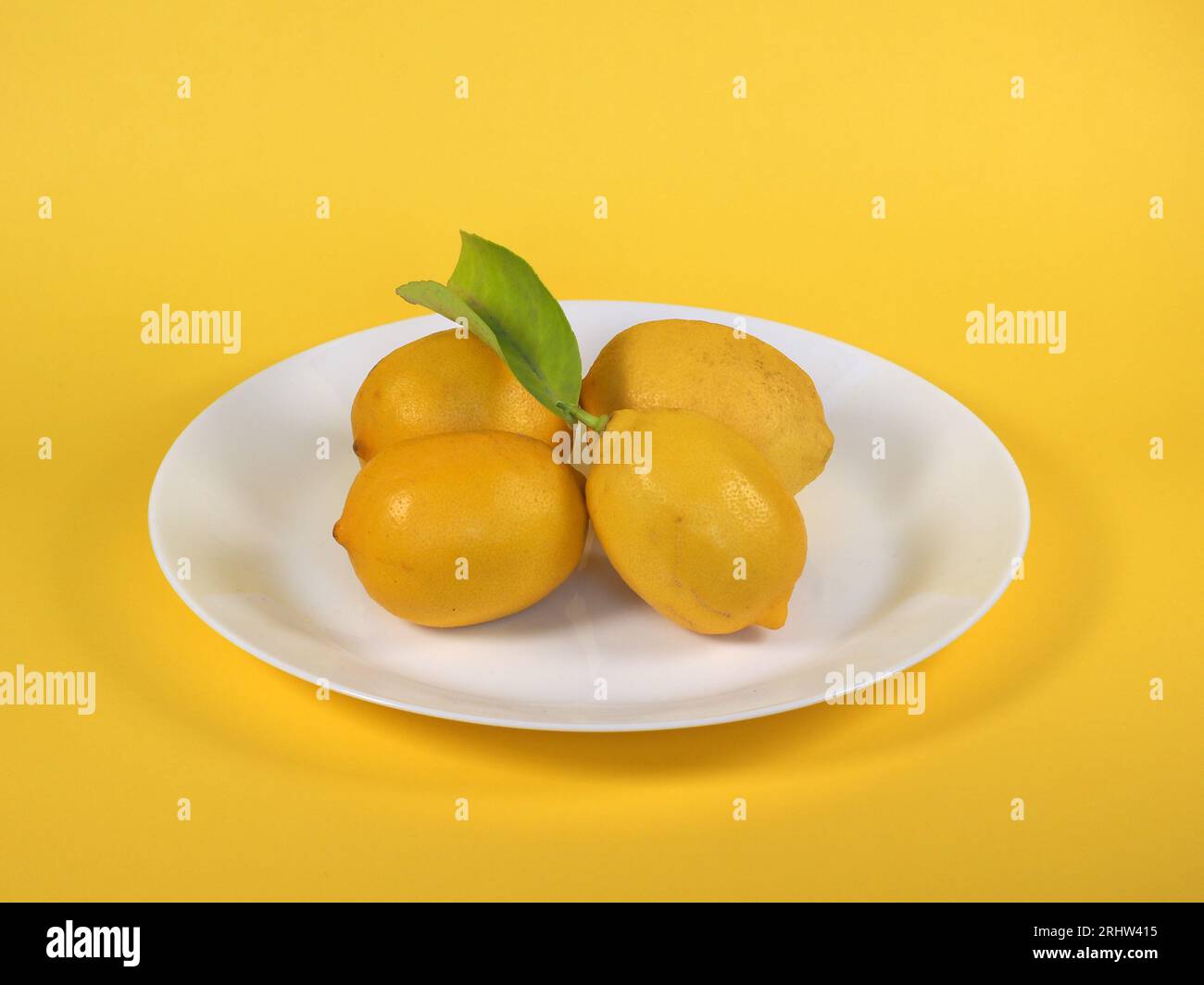four lemons in a dish over yellow background with copy space Stock ...