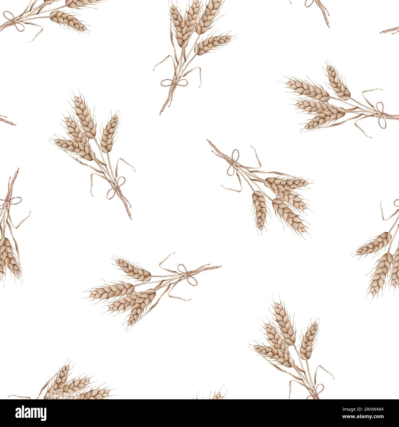 Seamless wheat spikelet pattern. Watercolor herbal background with ...