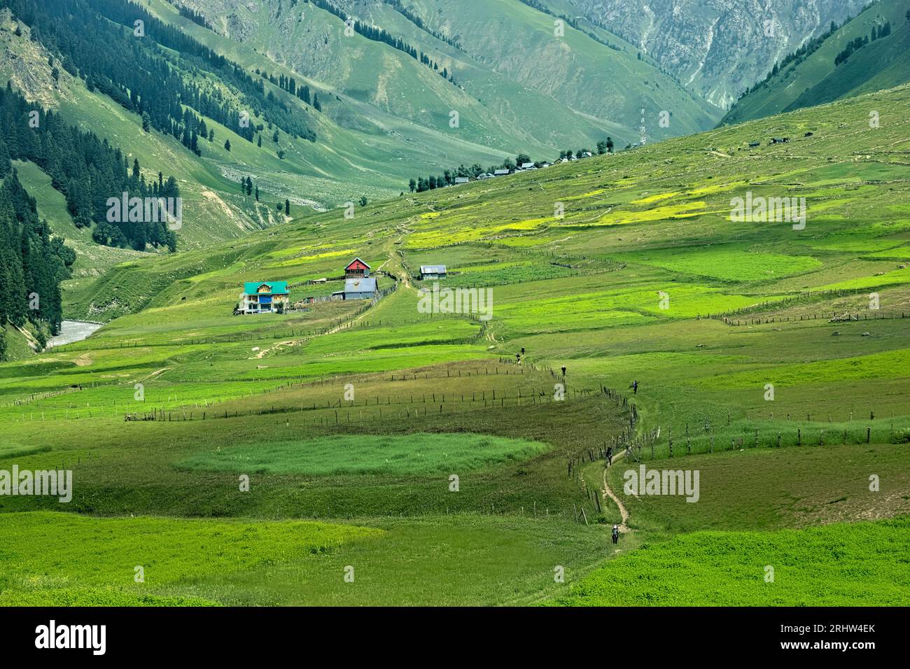 Trekking through the beautiful verdant Warwan Valley, Kashmir, India ...