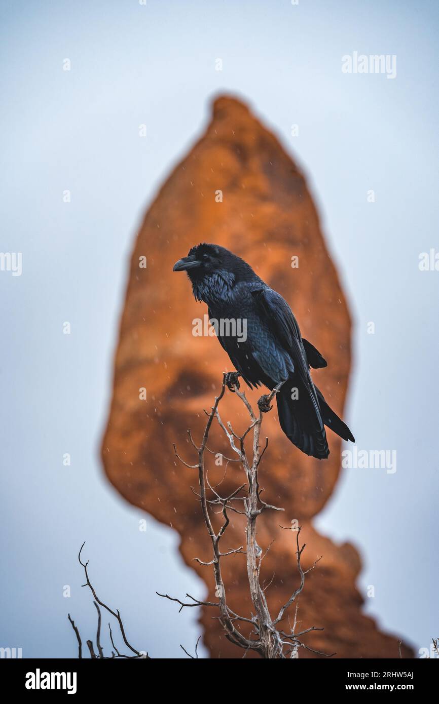 Black canyon trailhead hi-res stock photography and images - Alamy