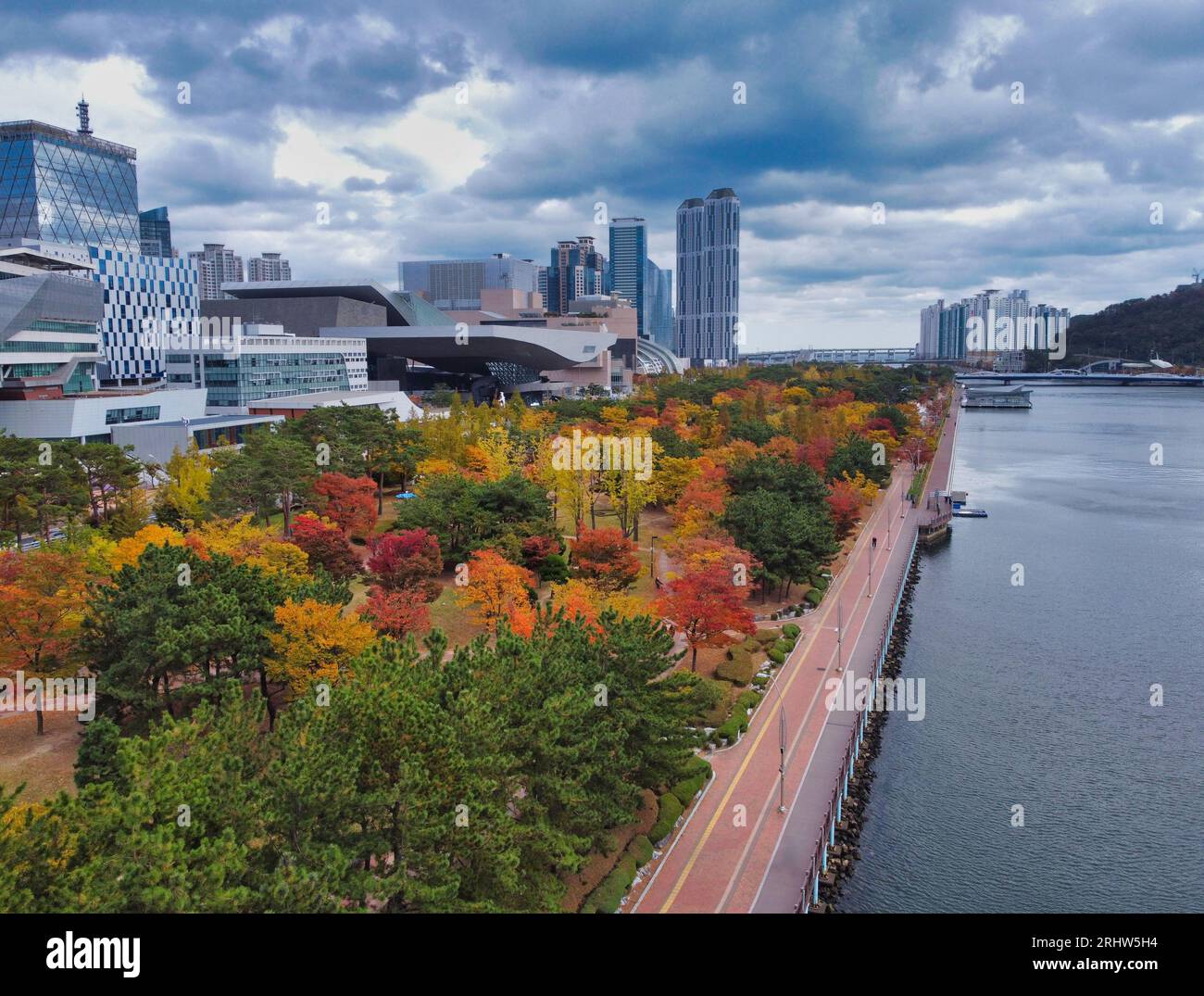 Aerial View of Autumn Naru Park, Centum City, Busan, South korea, Asia ...