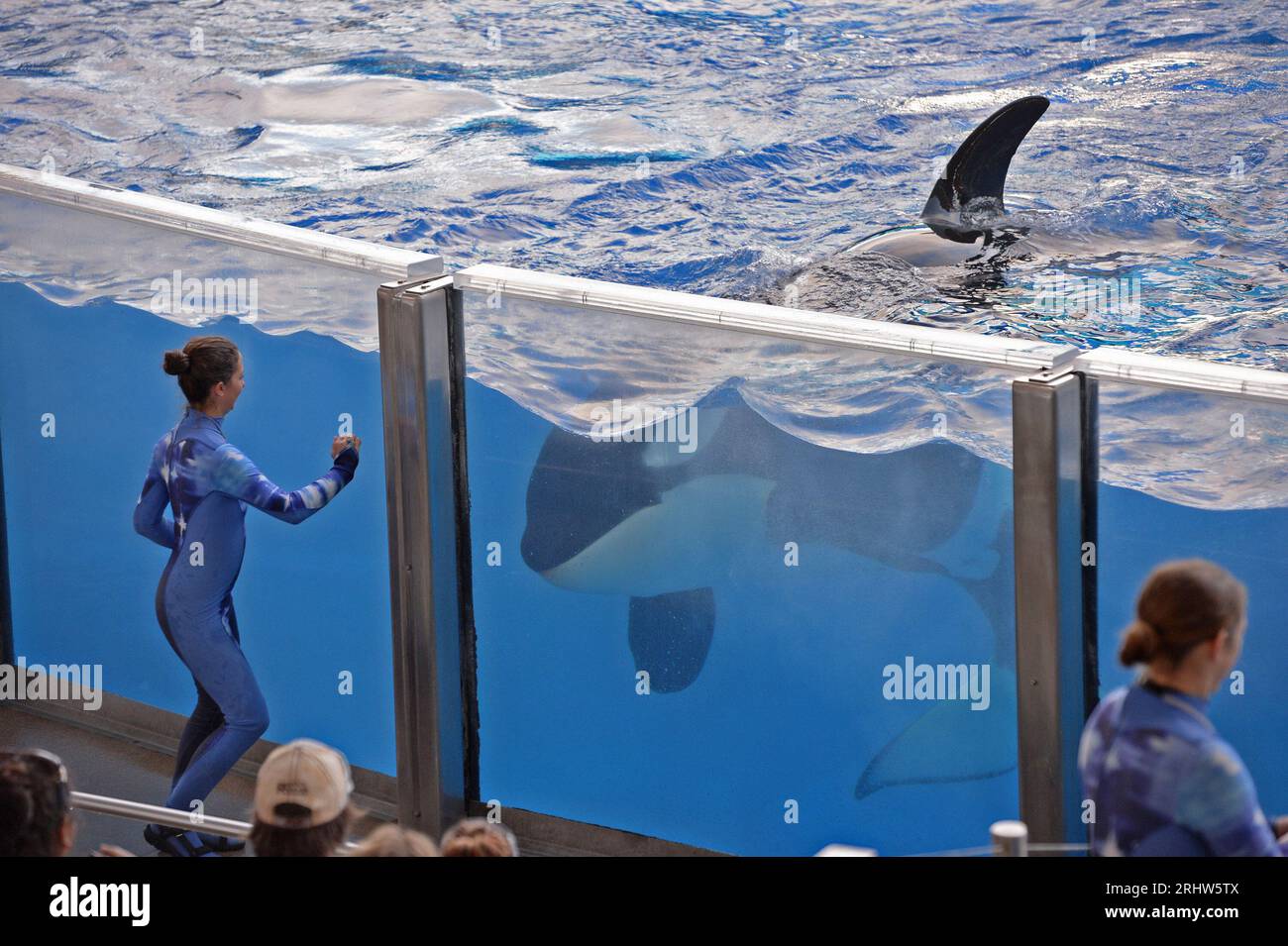 ORLANDO, FL - AUGUST 15: SeaWorld has announced a new 10 million-gallon ...