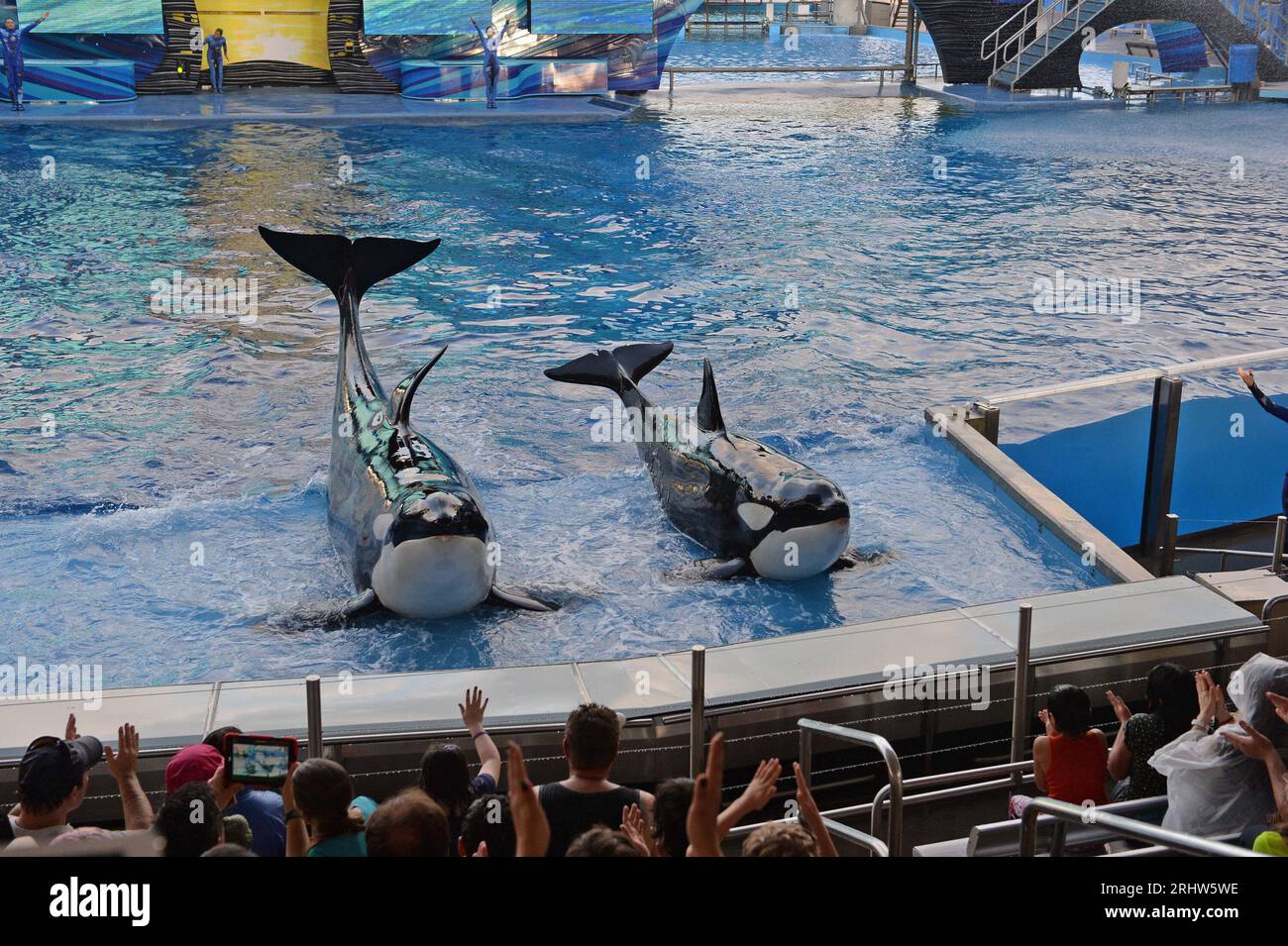 ORLANDO, FL - AUGUST 15: SeaWorld has announced a new 10 million-gallon ...