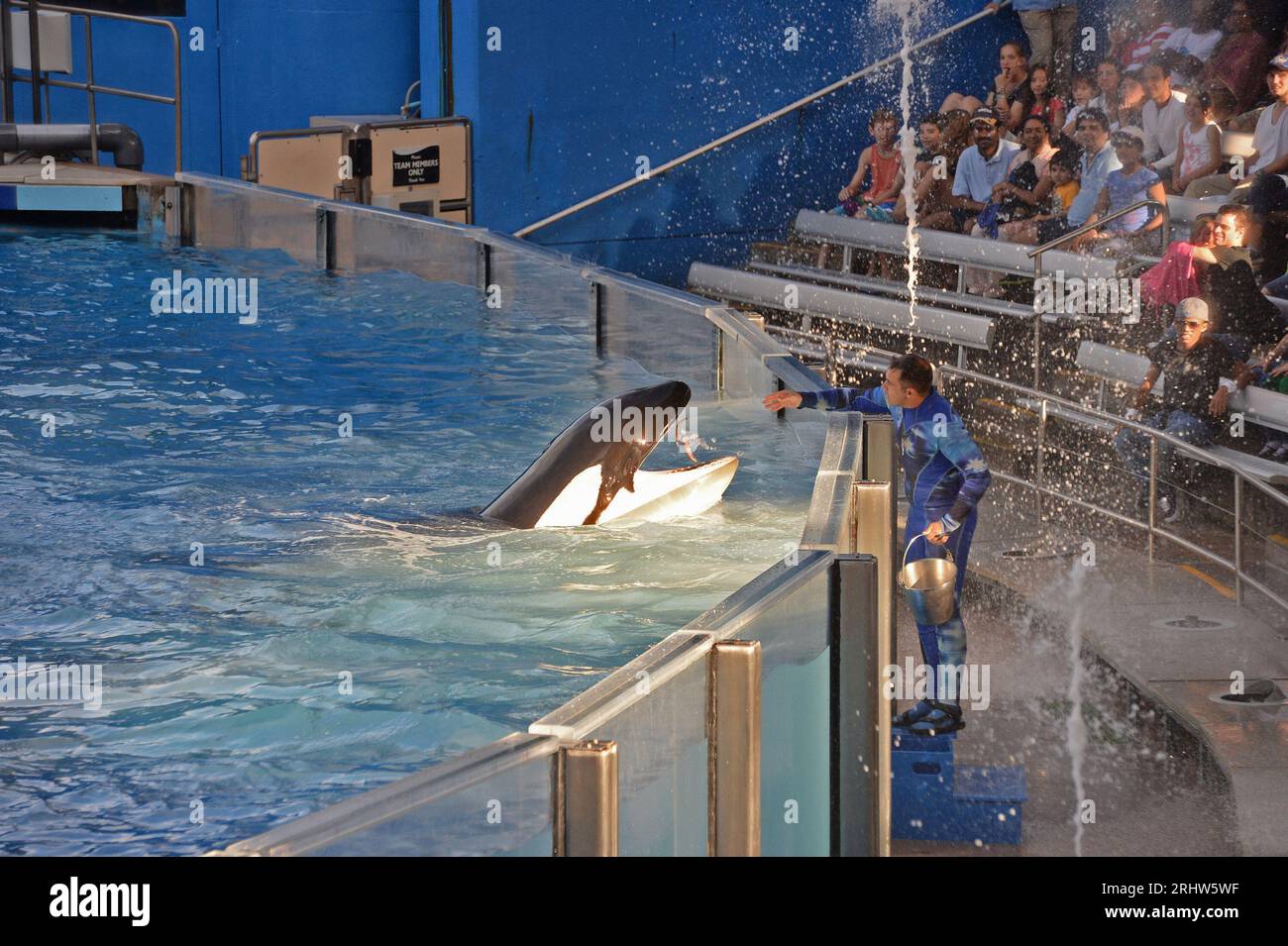 ORLANDO, FL - AUGUST 15: SeaWorld has announced a new 10 million-gallon ...
