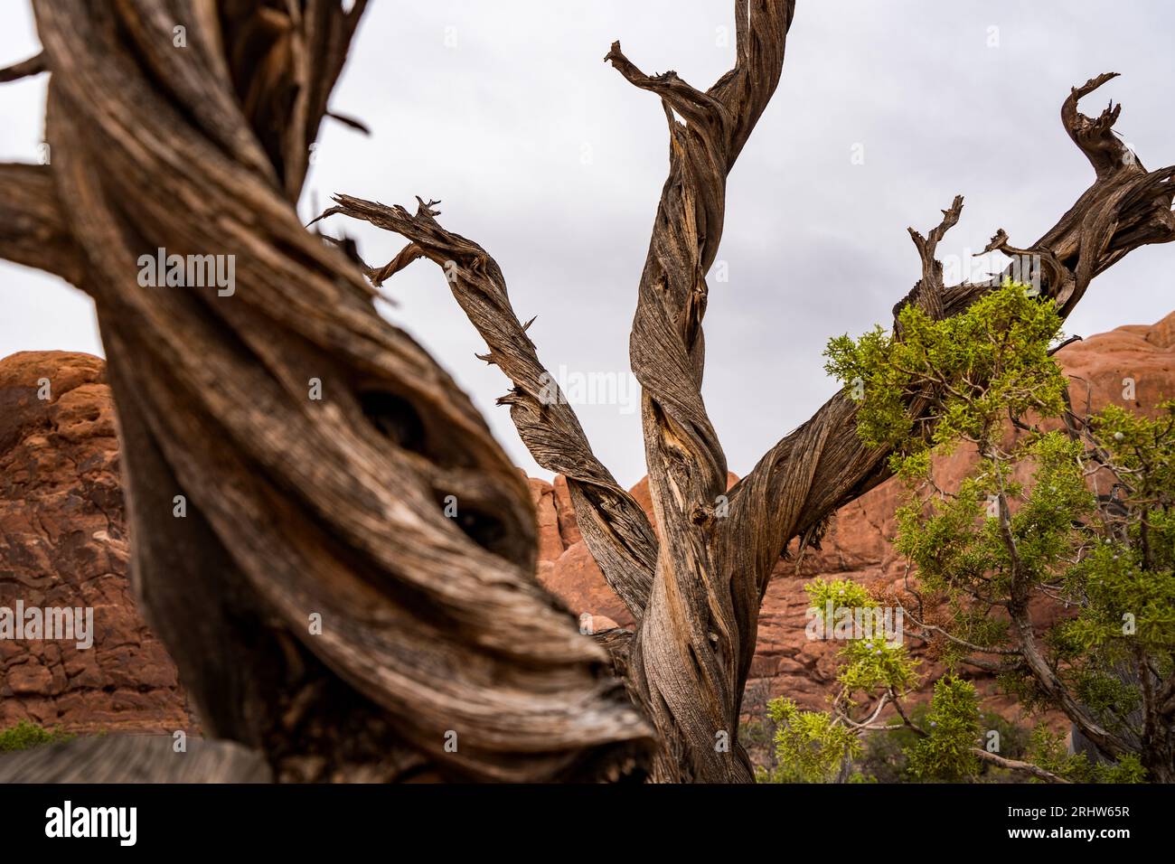 Old diagram waves hi-res stock photography and images - Alamy