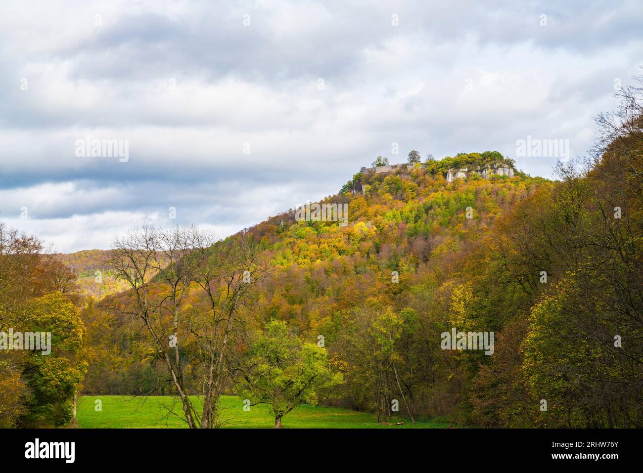 Germany, Colorful autumn colors forest trees nature landscape mountain ...