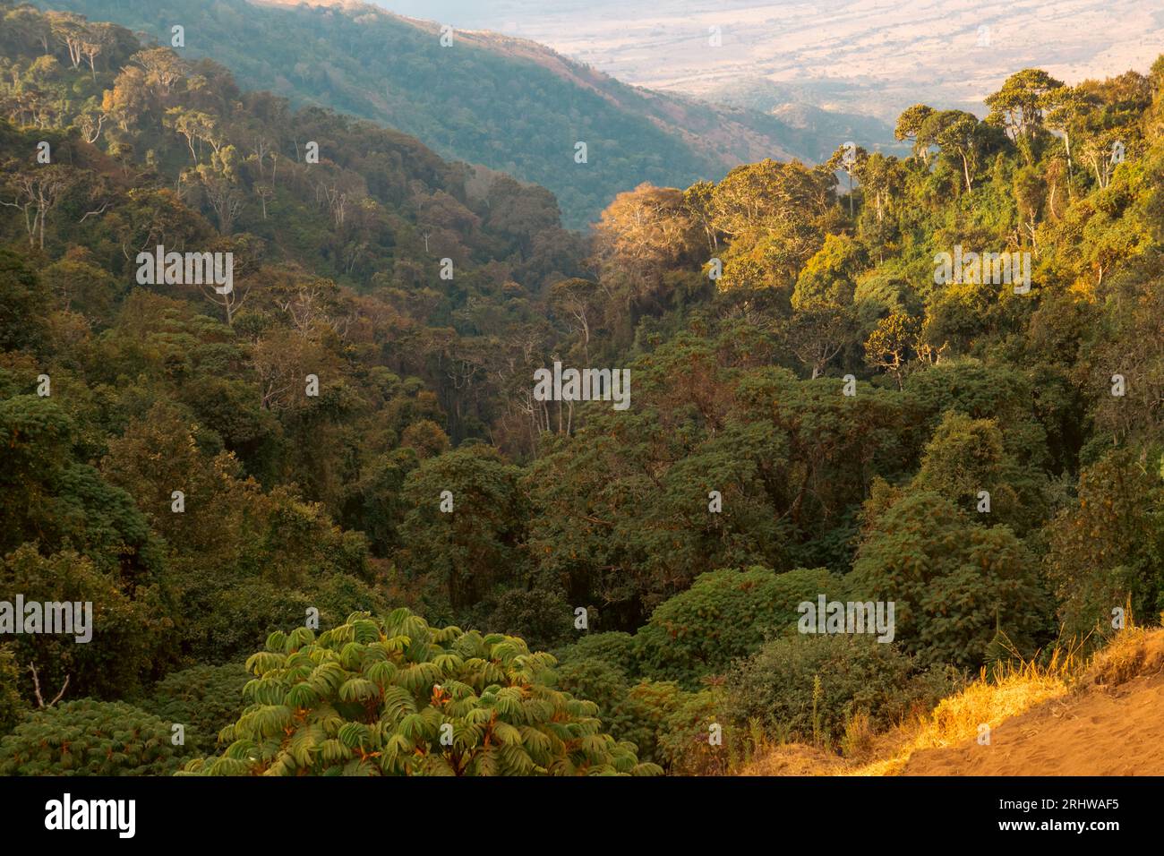 Scenic view of Rift Valley seen from the Great Rift Valley viewpoint in ...