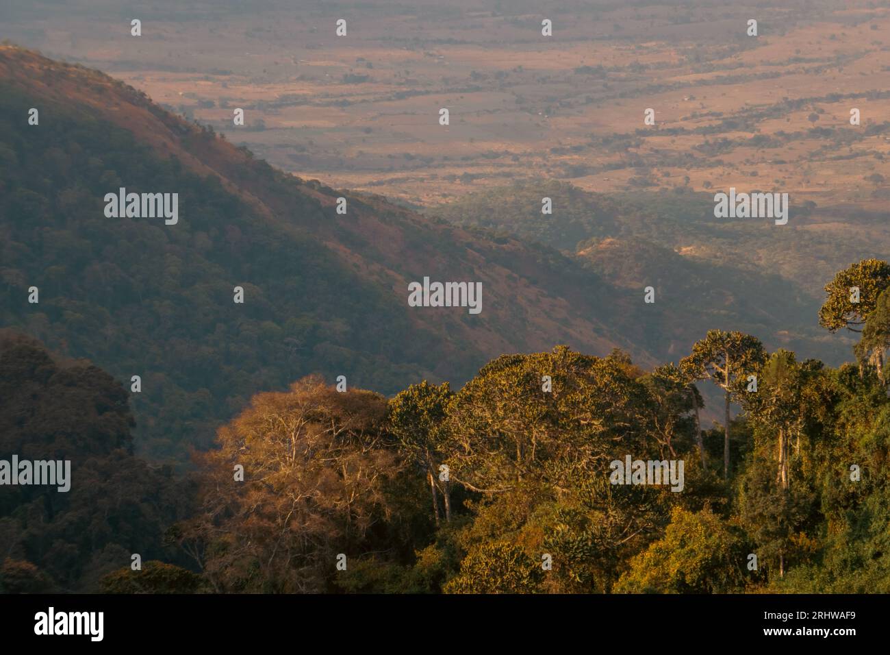 Scenic view of Rift Valley seen from the Great Rift Valley viewpoint in ...