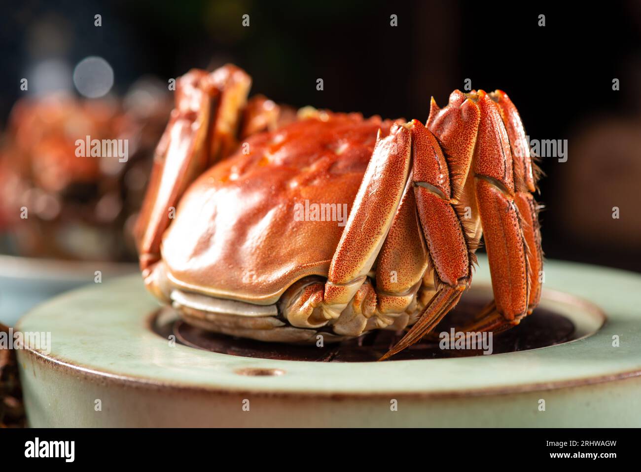 steaming shanghai hairy crabs, chinese cuisine，Mitten Crab, shanghai ...