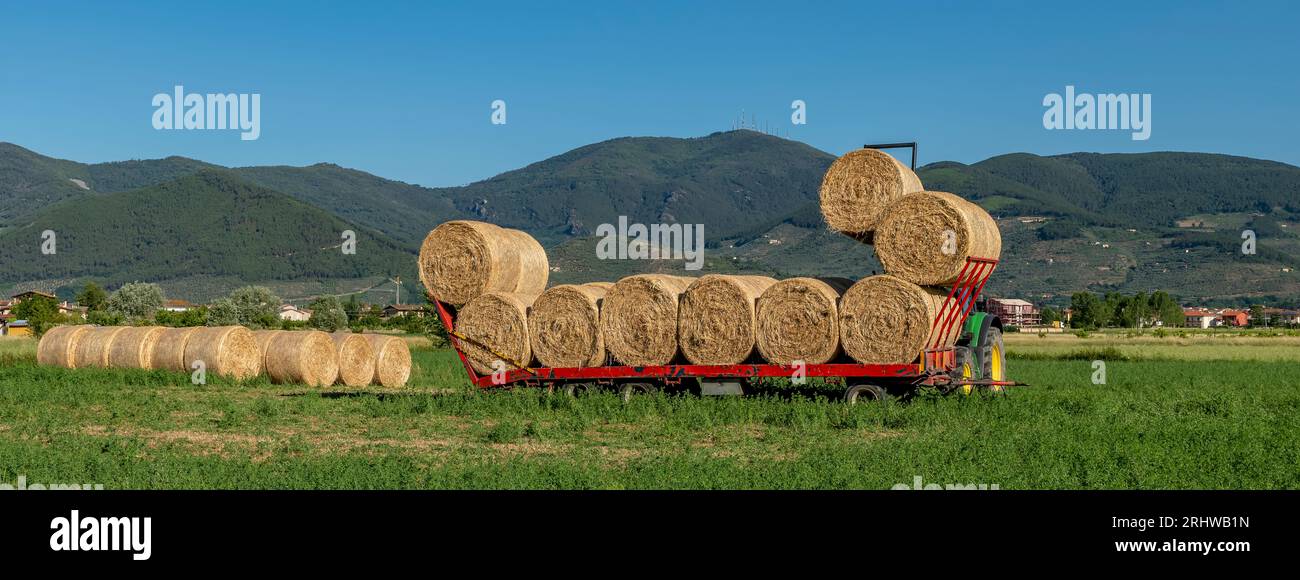 Hay bale truck transport hi-res stock photography and images - Alamy