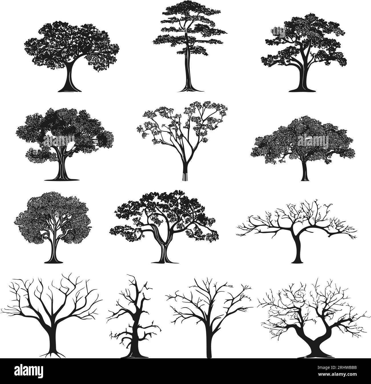 Tree Silhouette With Leaves 459+ Thousand Autumn Tree Silhouette