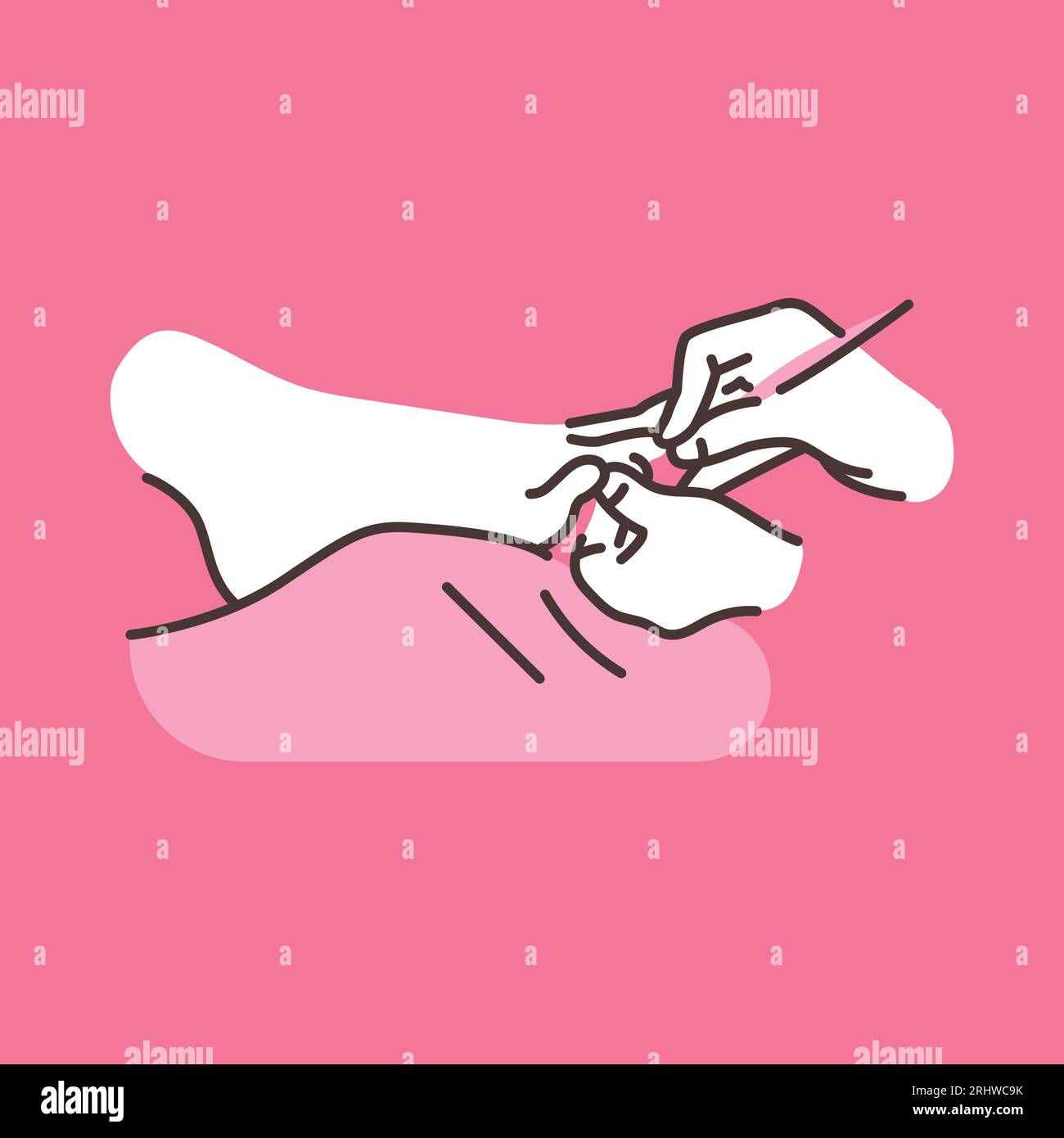 Pedicure color line illustration. Womans feet. Beauty industry Stock ...