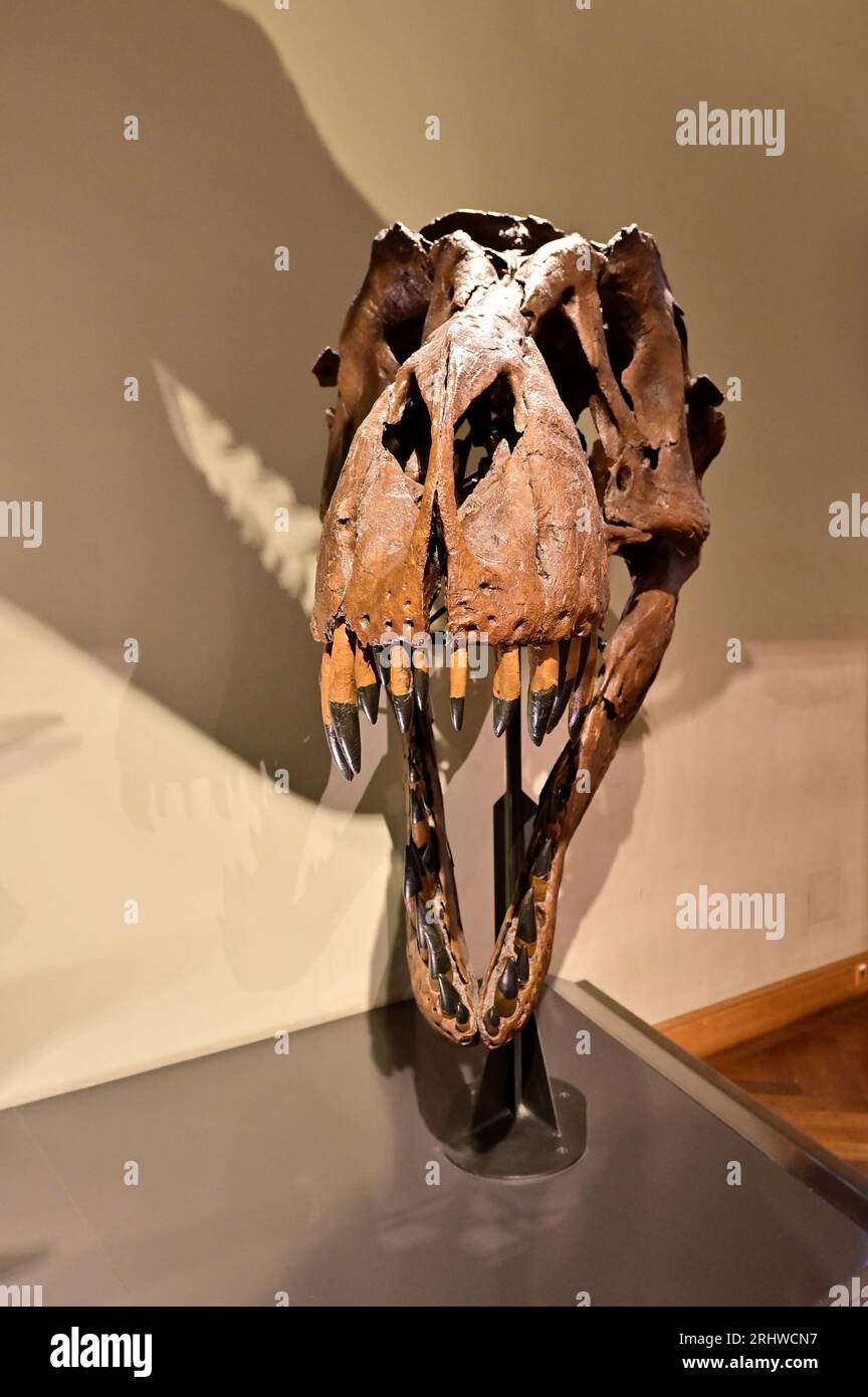 Vienna, Austria. August 16, 2023. Natural History Museum at Burgring 7 ...