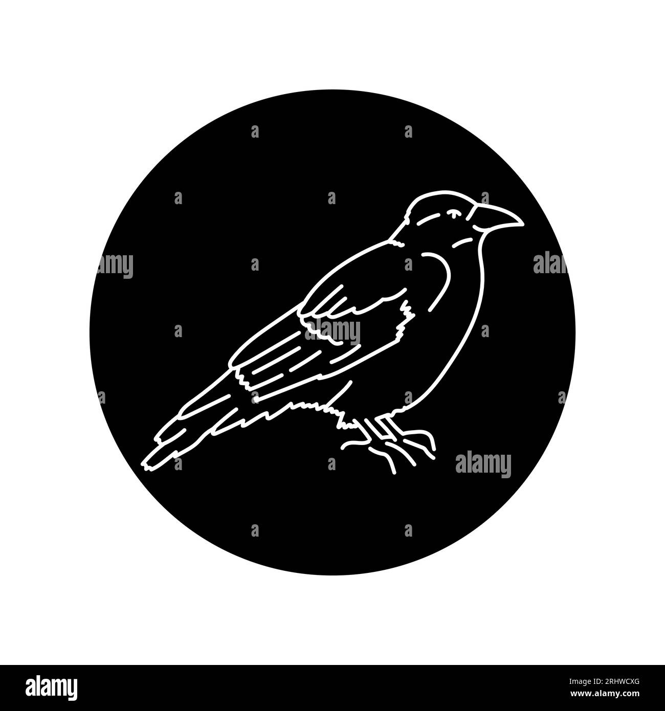 Raven bird black line icon. Pictogram for web page, mobile app, promo ...