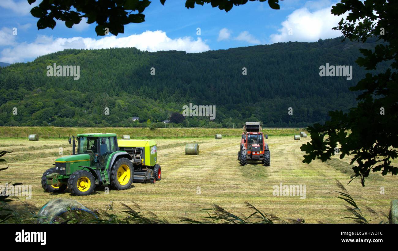 "Pasture grass being round bailed Stock Photo - Alamy
